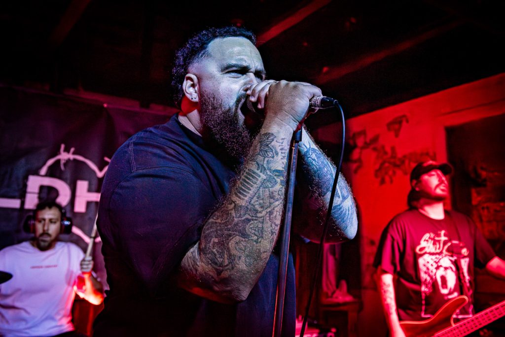 Wildheart: live at Stranded