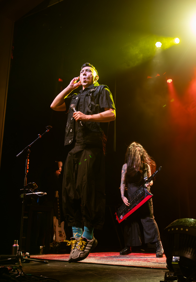 LIVE: Regurgitator – It’s So Invasive at the Tivoli