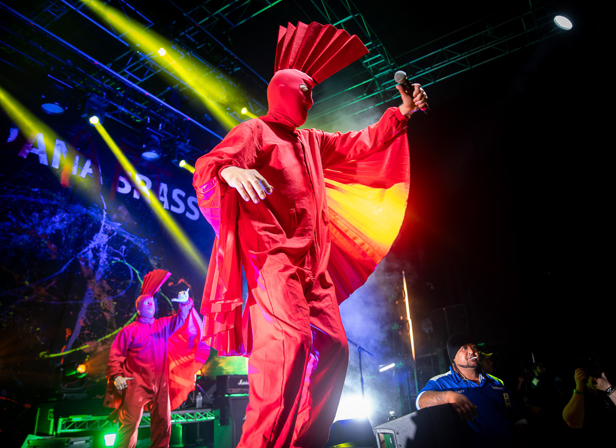 LIVE: TISM – Death to Art at the Riverstage